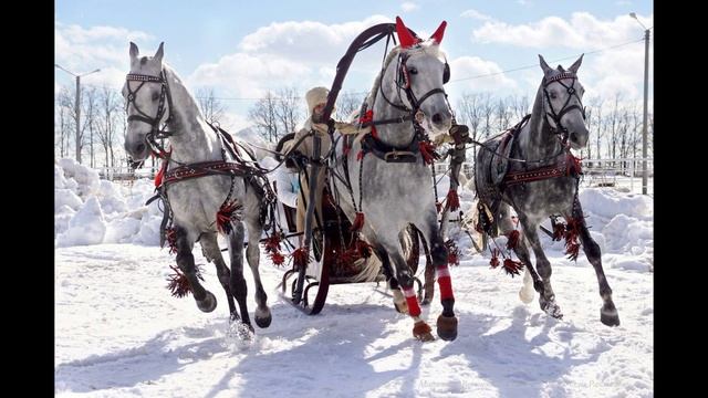 Рекорд трансмиссия плейлист