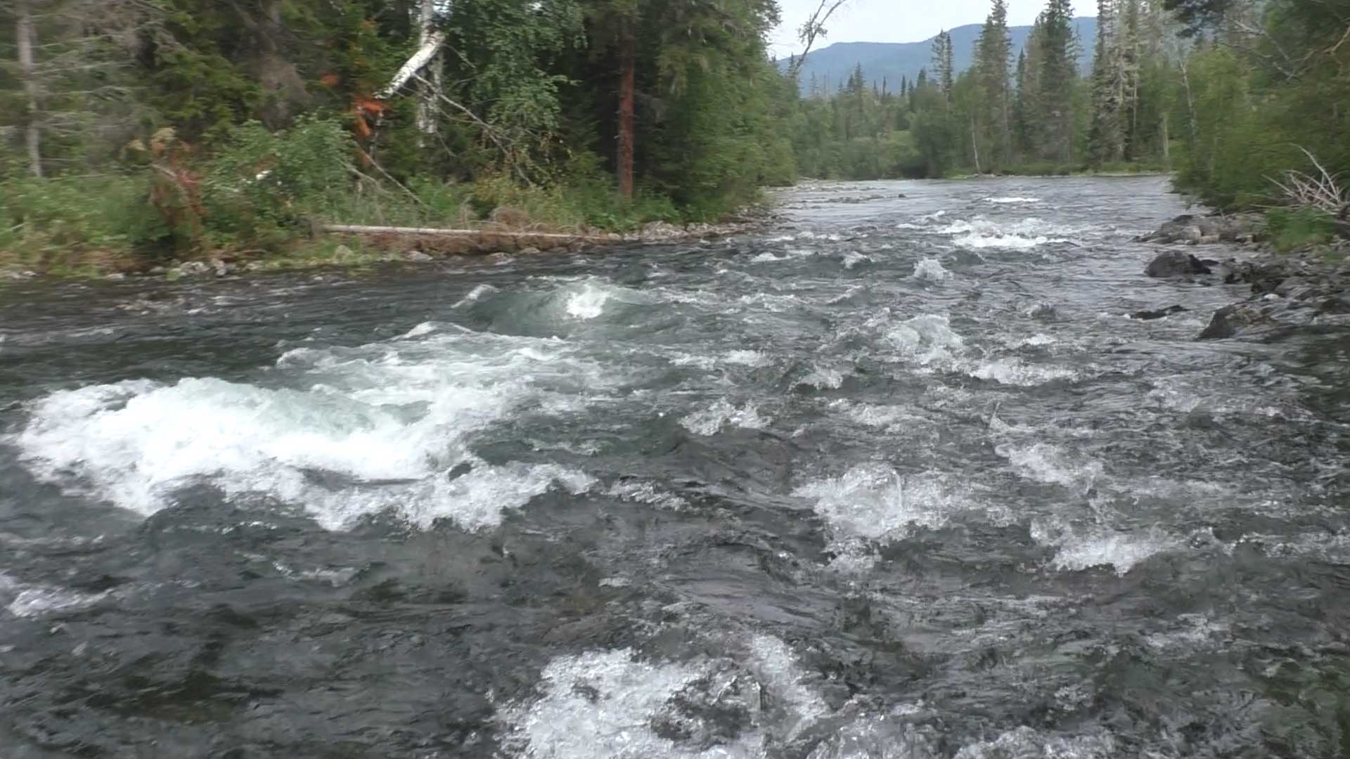 Порно русские на берегу реки. Смотреть русское порно видео бесплатно