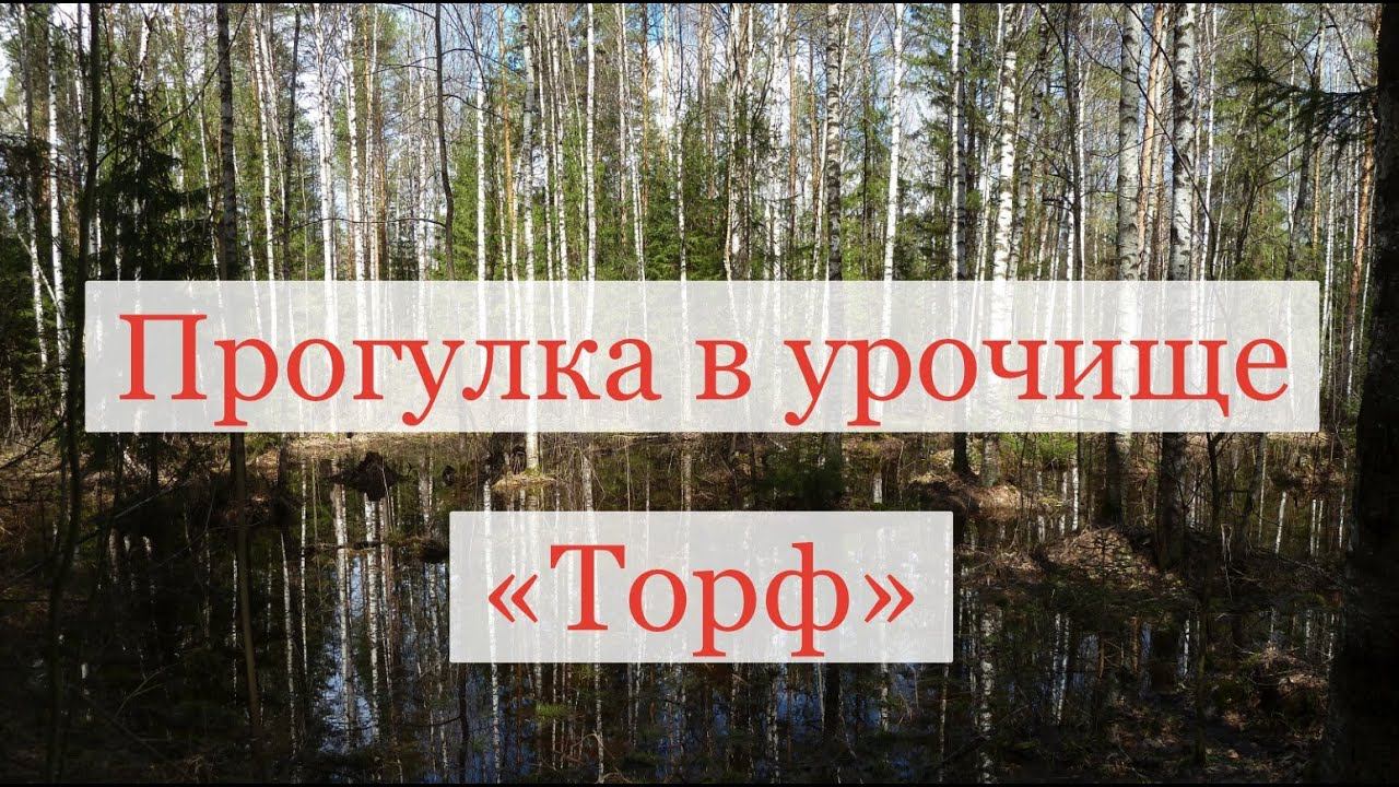 Велопрогулки