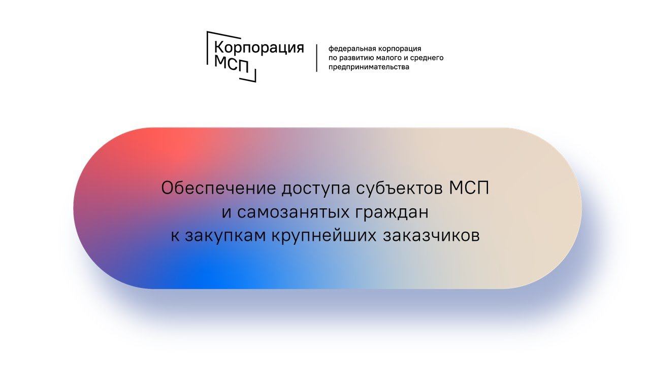 Семинары Корпорации МСП по участию предпринимателей в закупках по 223-ФЗ