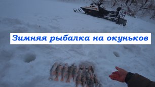 Рыбалка (зима 2020-2021)