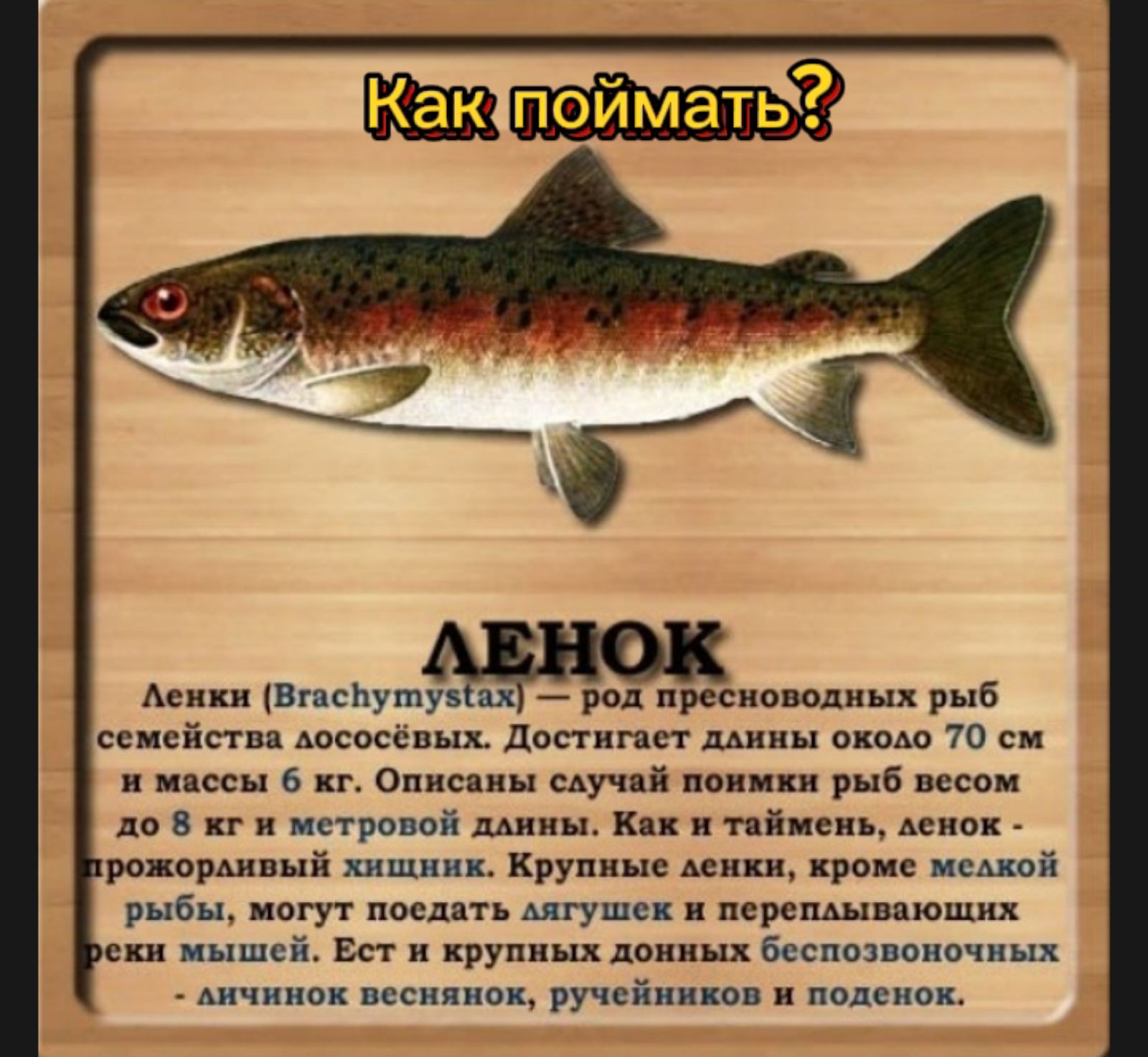 Река Ангара, реальная рыбалка. – смотреть онлайн все 1 видео от Река  Ангара, реальная рыбалка. в хорошем качестве на RUTUBE