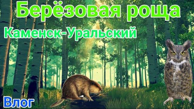 Каменск-Уральский влоги