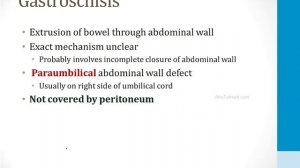 13/17 -  ГАСТРОЭНТЕРОЛОГИЯ (для USMLE 2022): серия Boards &amp; Beyond - Gastroenterology (STEP 1)