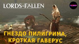 Lords of the fallen - Прохождение (ПК)