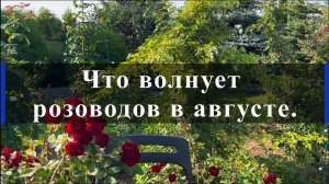 Ответы на вопросы подписчиков