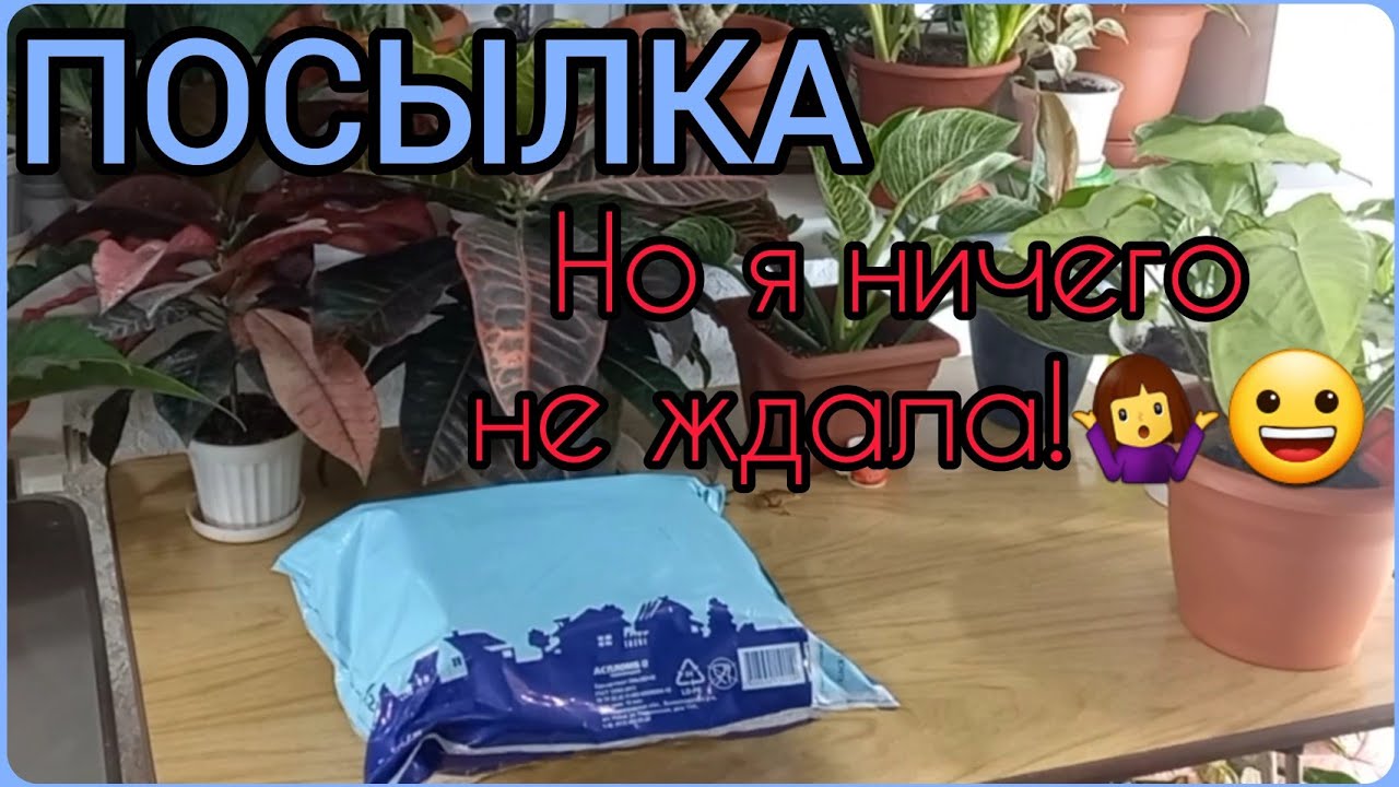 Интернет-покупки, заказы, распаковка. – смотреть онлайн все 4 видео от  Интернет-покупки, заказы, распаковка. в хорошем качестве на RUTUBE