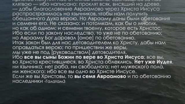 Владислав Шапша поздравил супругов-ветеранов и молодоженов