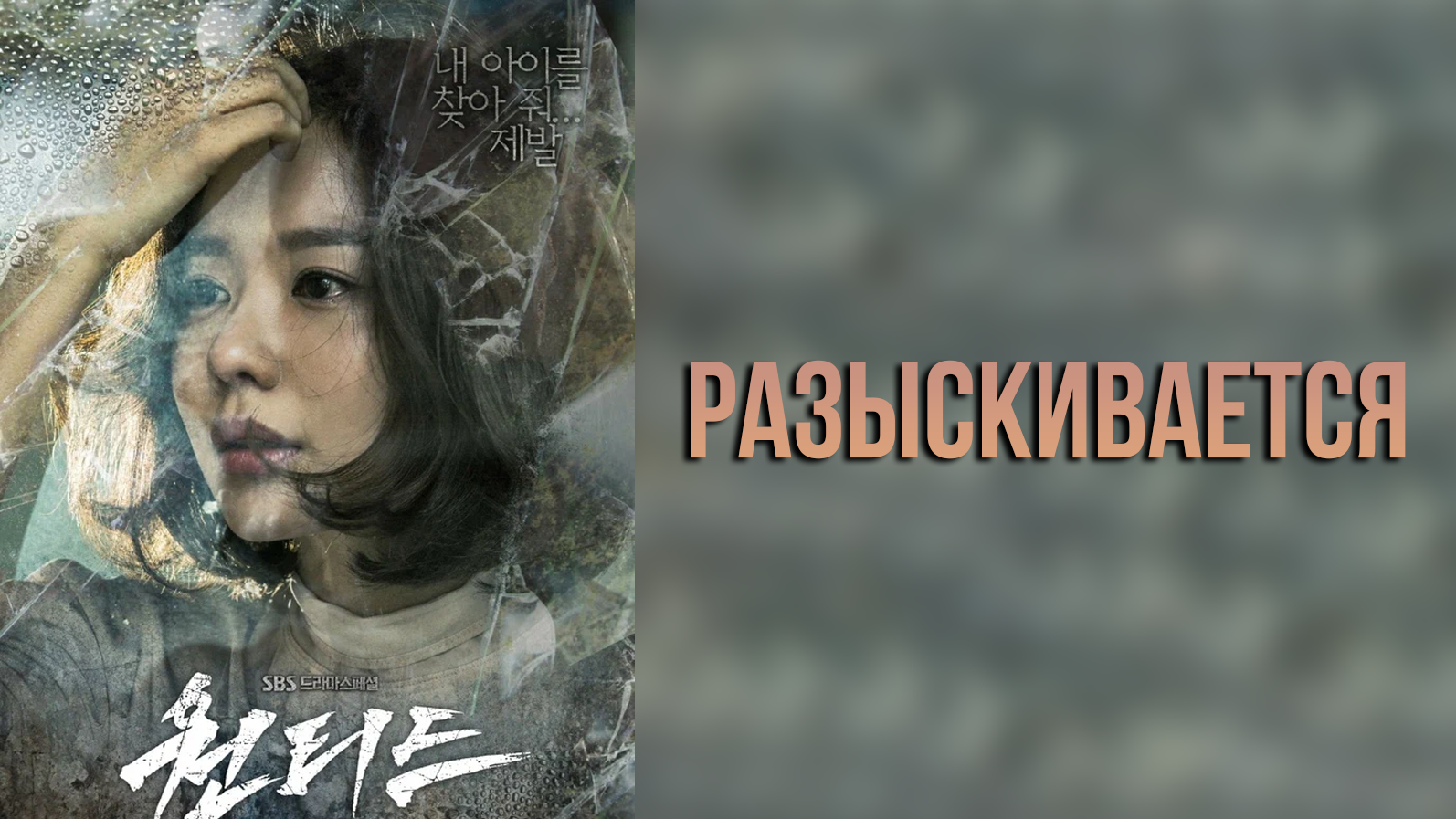 Разыскивается (дорама, 2016)