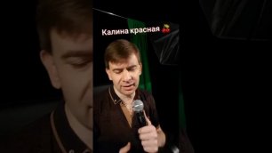 Роман Ефимов - живой голос