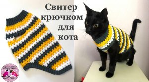 Вязание для котов