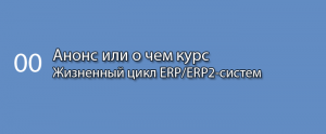 Жизненный цикл ERP/ERP2-систем (курс)