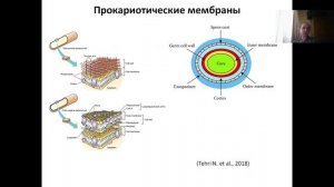 Основы молекулярной и клеточной биологии (2023)