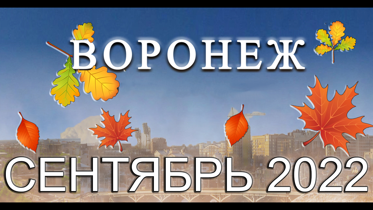 Новости Воронежа 2023