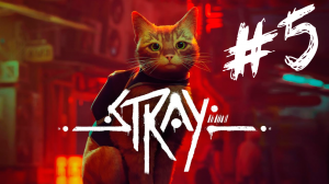 Stray