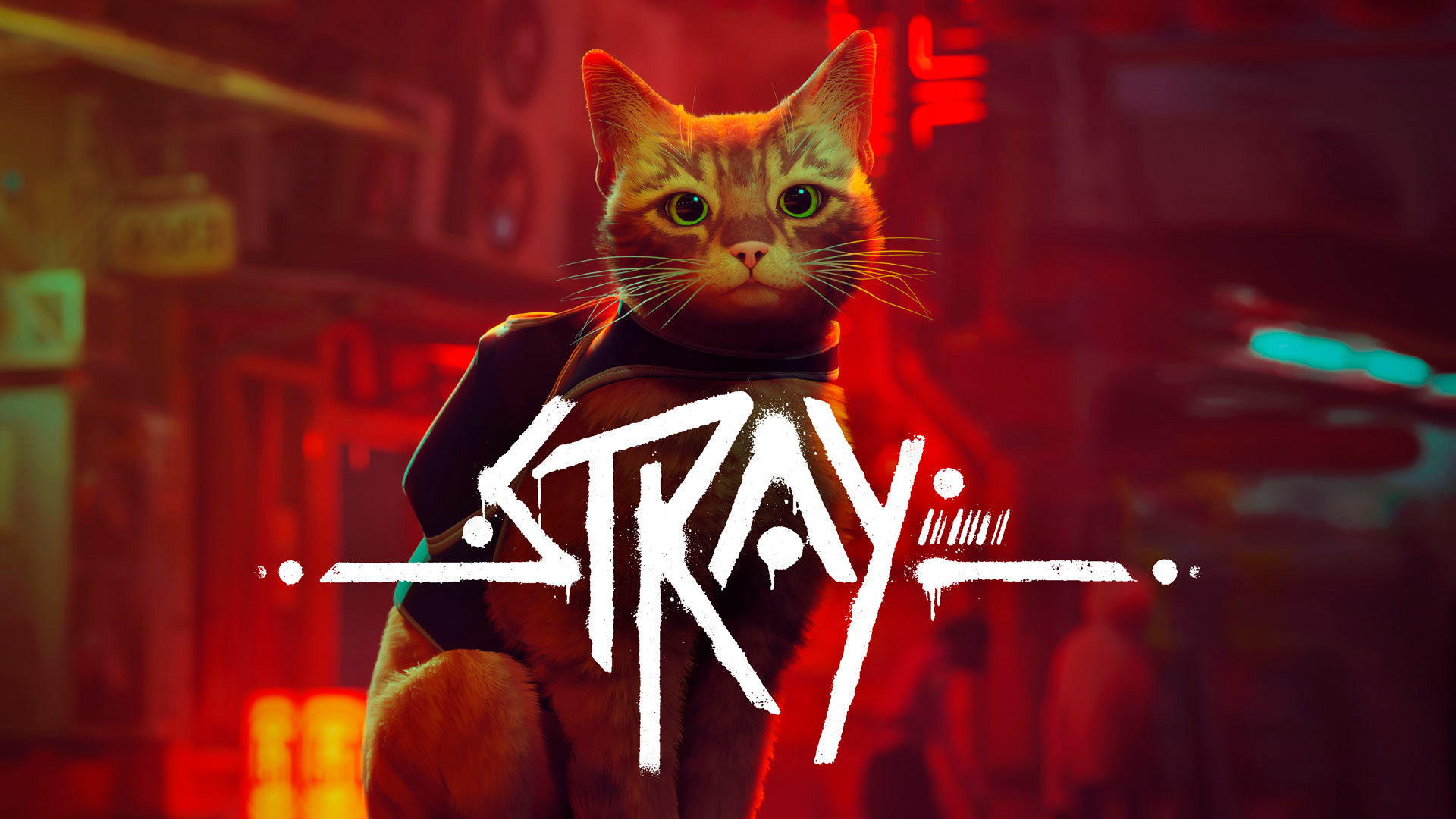 Stray