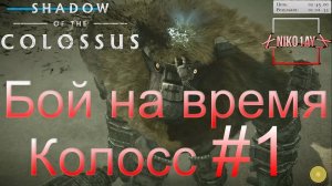 Shadow of the Colossus (В тени колосса) Бой на время: сложный [все колоссы]