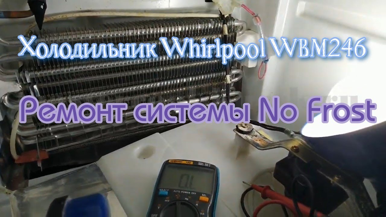 Ремонт холодильников Whirlpool в Курске – смотреть онлайн все 3 видео от Ремонт  холодильников Whirlpool в Курске в хорошем качестве на RUTUBE