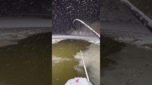 Короткие видео о рыбалке
