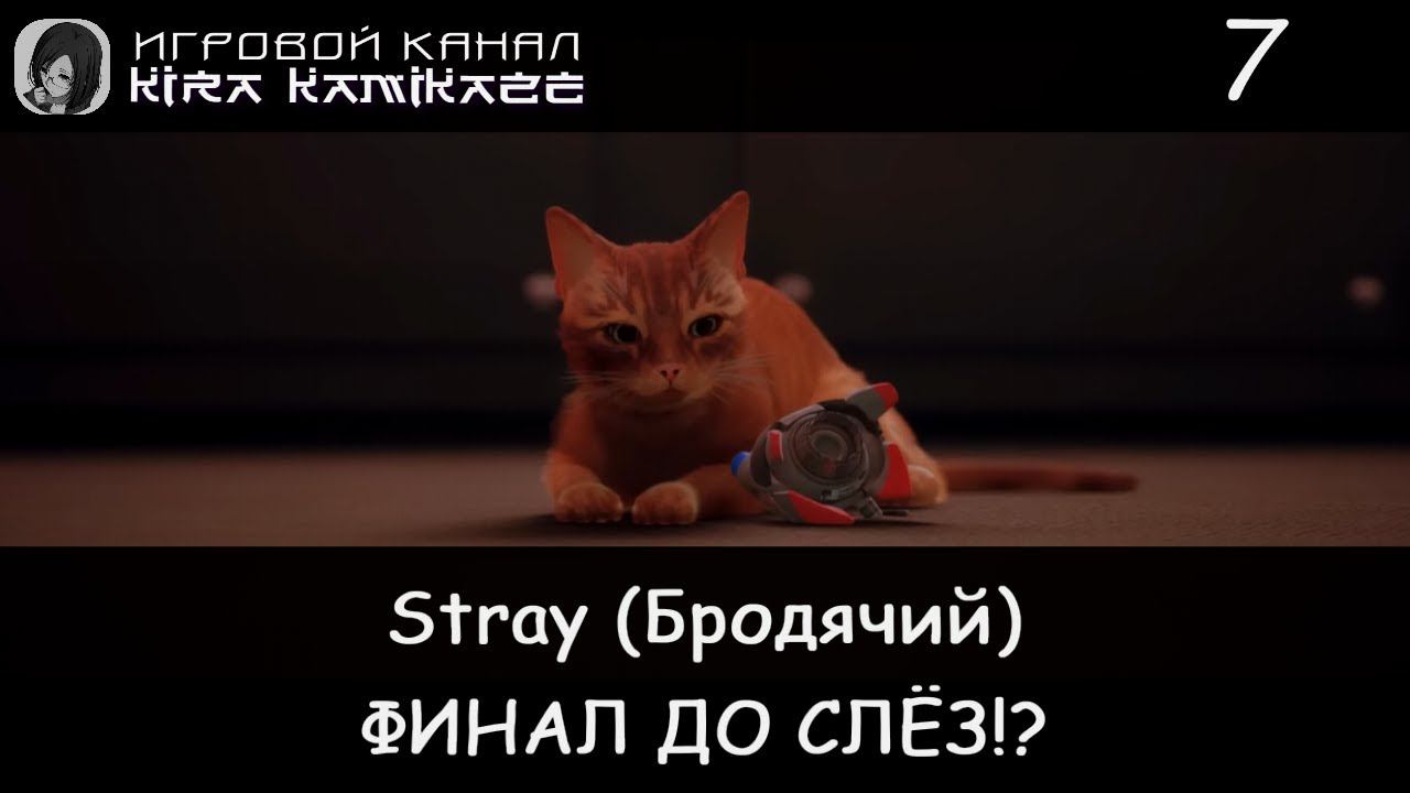 ✓ Прохождение: Stray (2022)