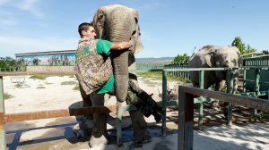 Дженни и Магда - слоны Тайгана