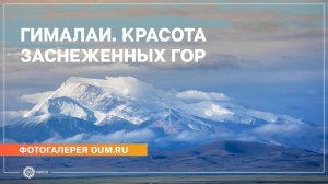 Фотогалерея oum.ru