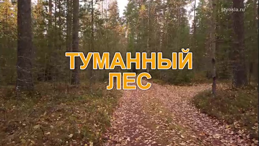 Прогулки По Воздуху