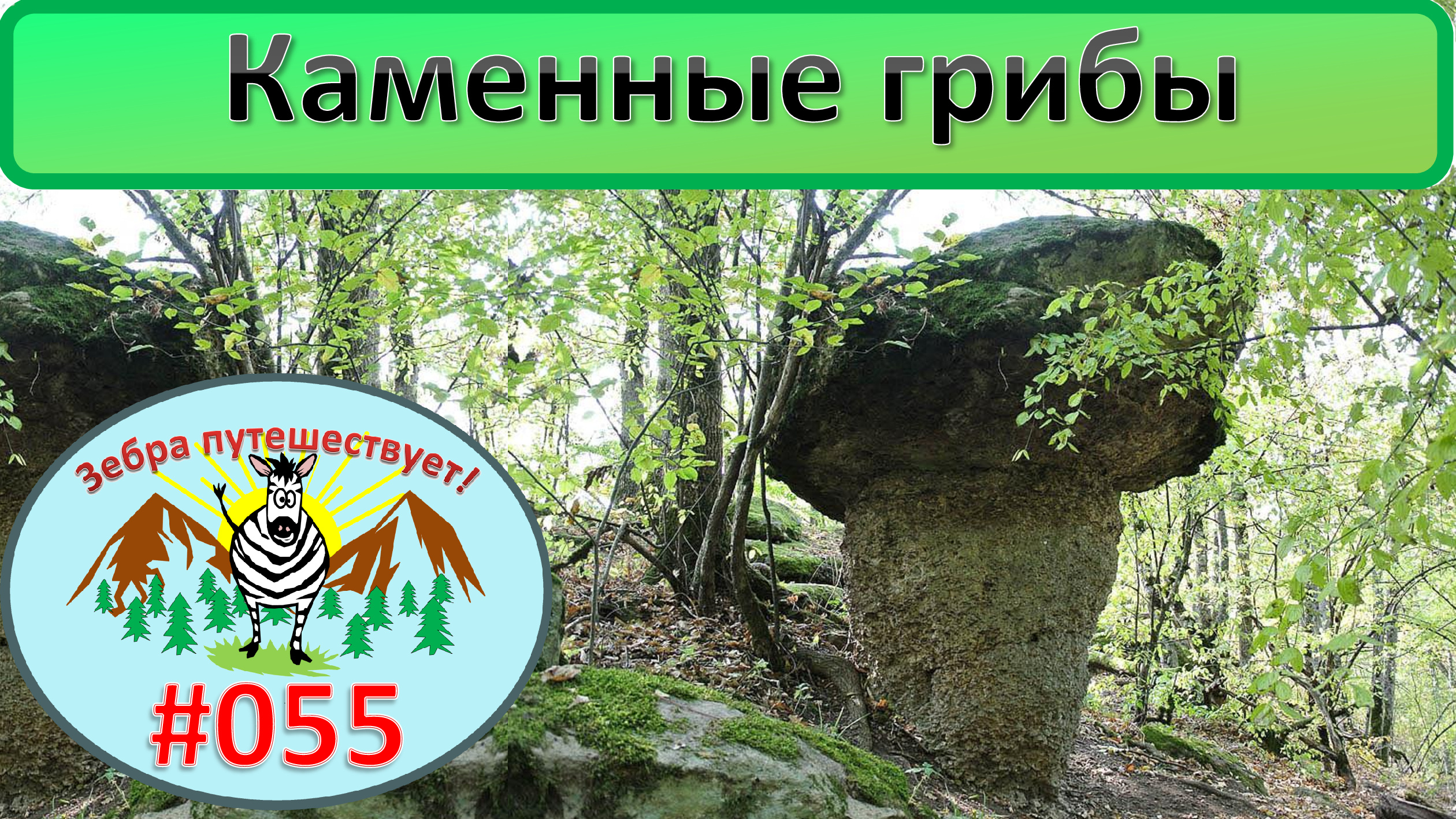 А чё дома сидеть? – смотреть онлайн все 55 видео от А чё дома сидеть? в  хорошем качестве на RUTUBE