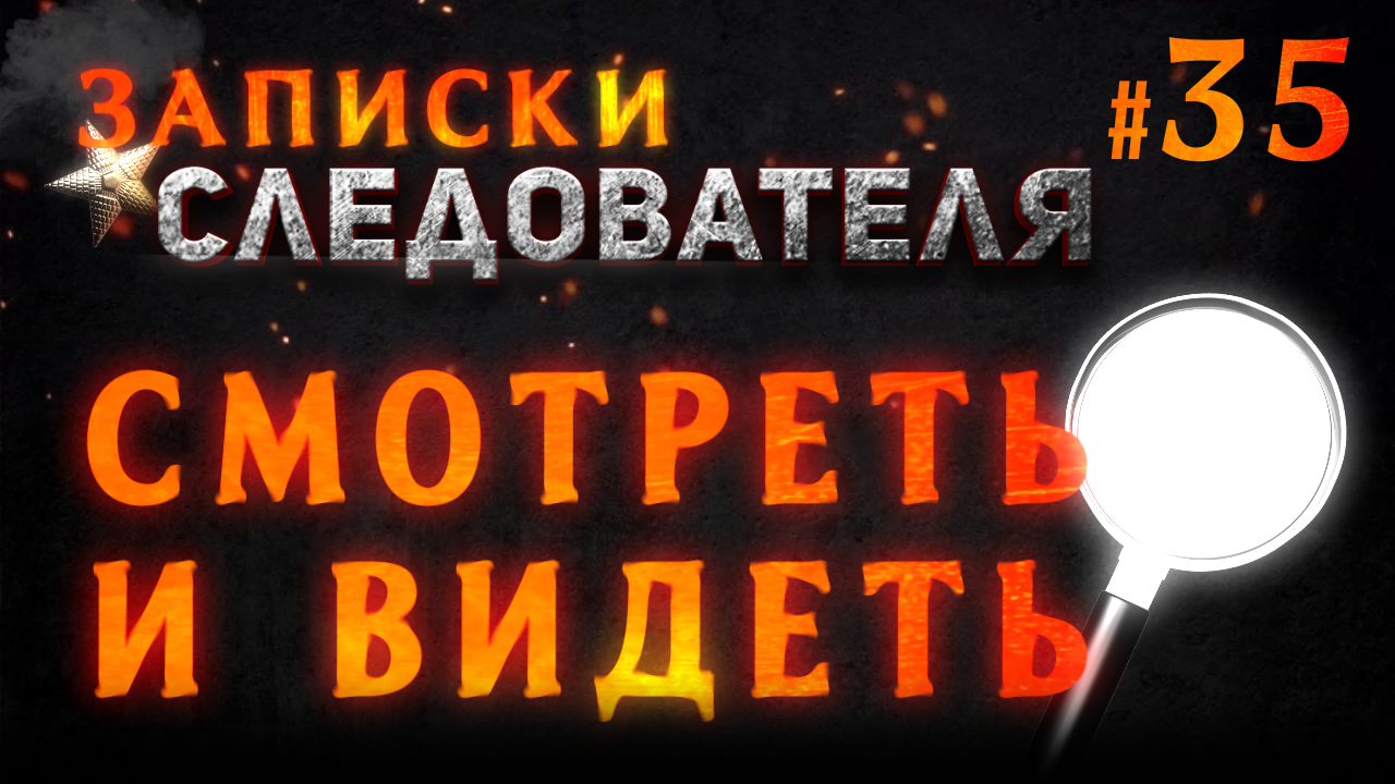 Записки следователя #35 «Смотреть и видеть»