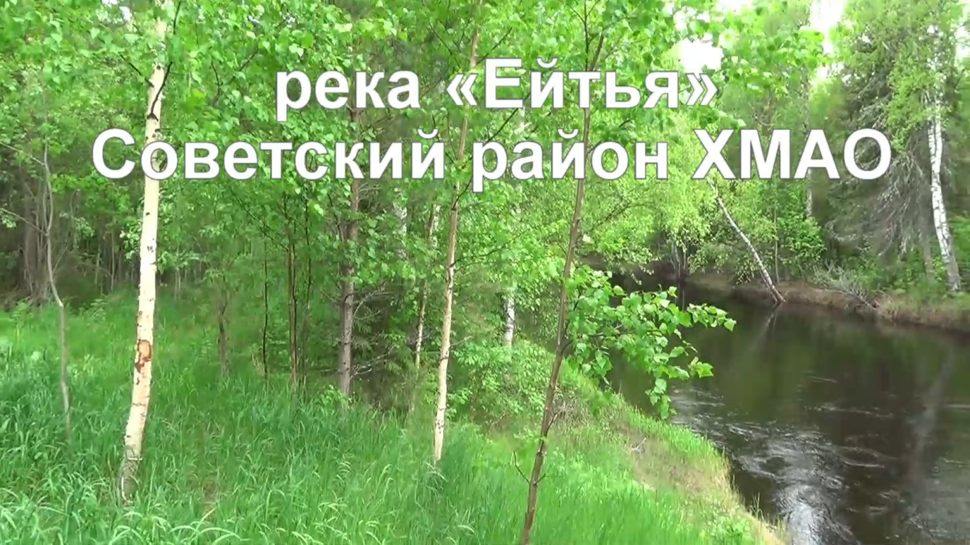 реки Югры - Советский район ХМАО – смотреть онлайн все 2 видео от реки Югры  - Советский район ХМАО в хорошем качестве на RUTUBE