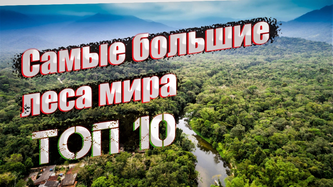 топы и сравнения – смотреть онлайн все 2 видео от топы и сравнения в  хорошем качестве на RUTUBE