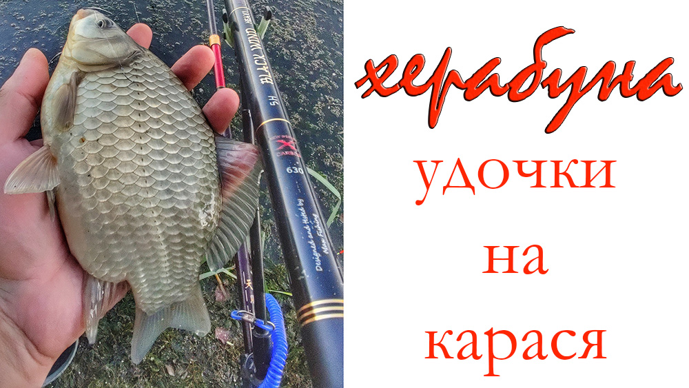 «Ловись, рыбка»: ТОП-5 лучших мест для весенней рыбалки в ХМАО