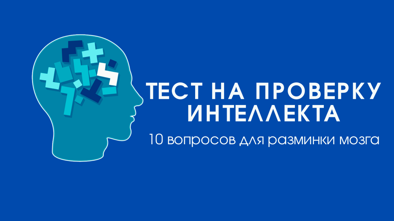 Тесты на эрудицию – смотреть онлайн все 1 видео от Тесты на эрудицию в  хорошем качестве на RUTUBE