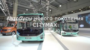 Автобусы