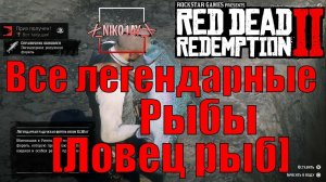 Red Dead Redemption 2 [Гайды]