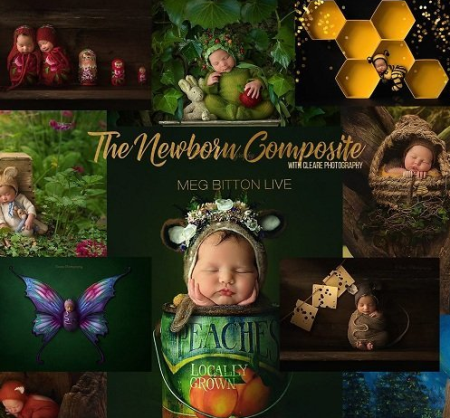 Newborn Composite Workshop