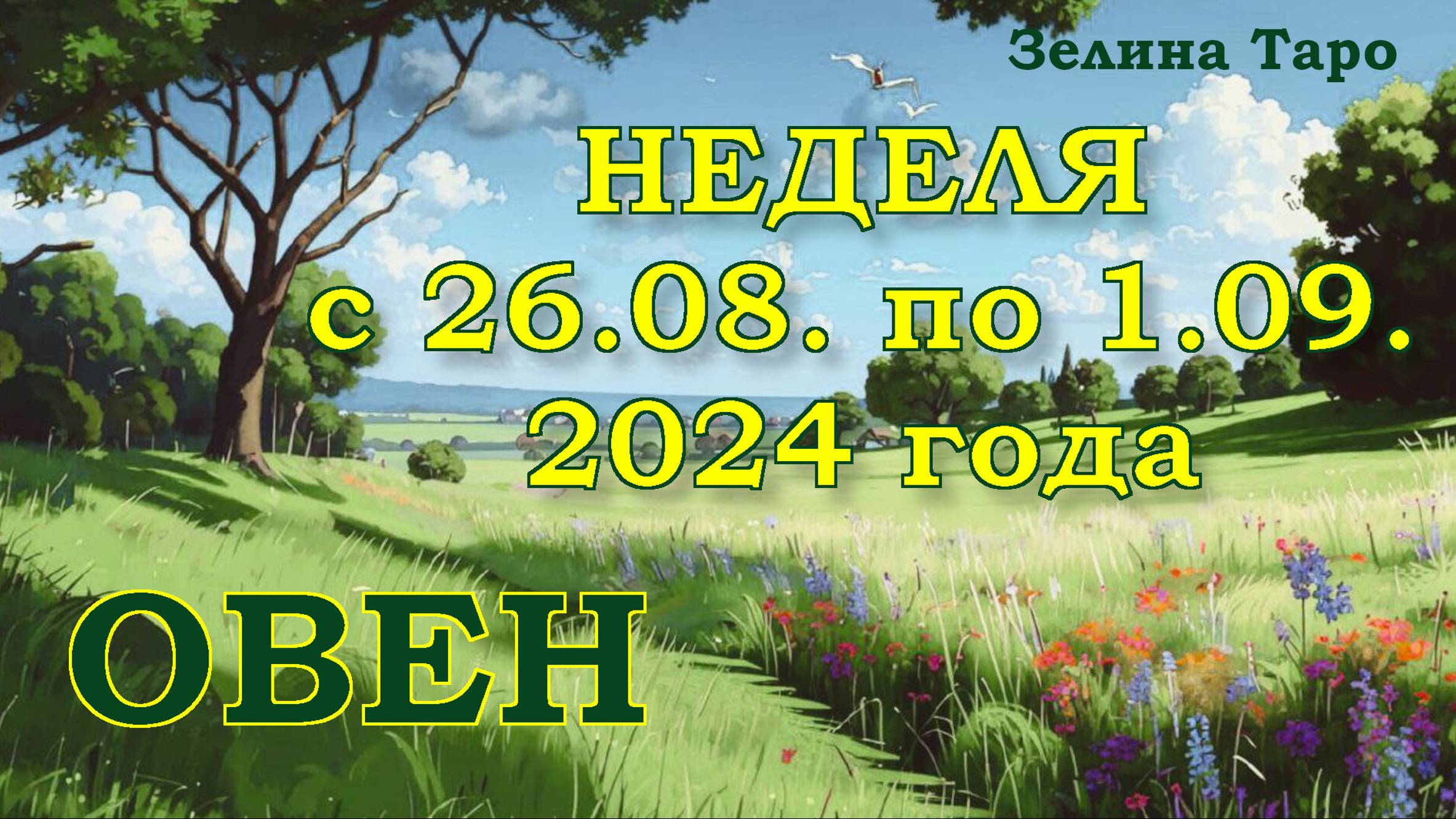 Неделя с 26.08 по 1.09.2024