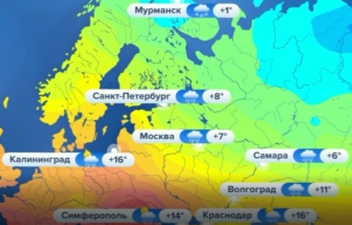 Осадки 24 9. Новые регионы России. Погода. Погода на 24 октября. Погода Россия 24.