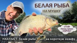 НАХЛЫСТ: ловля рыбы на мушку