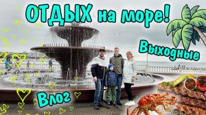 ВЛОГИ