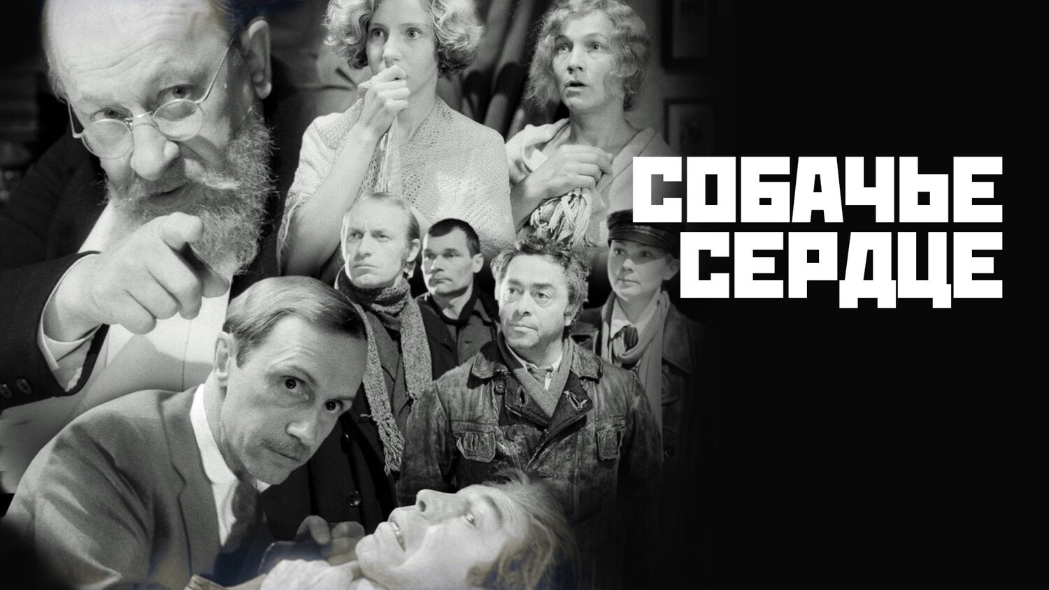 Собачье сердце (фильм, 1988) – смотреть онлайн все 2 видео от Собачье сердце  (фильм, 1988) в хорошем качестве на RUTUBE