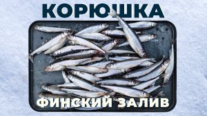 Зимняя рыбалка - Алексей Титов. Рыбалка и не только