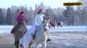 Калгановский конезавод. Кони. Лошади.