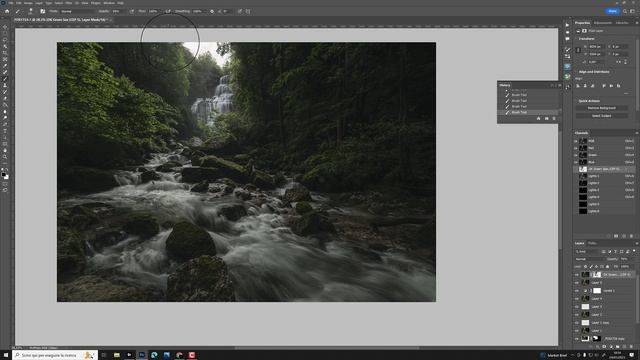 A Journey into the world of forests - Enrico Fossati