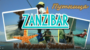 Занзибар-2020
