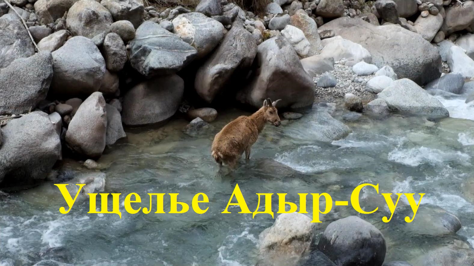 Природа Приэльбрусья