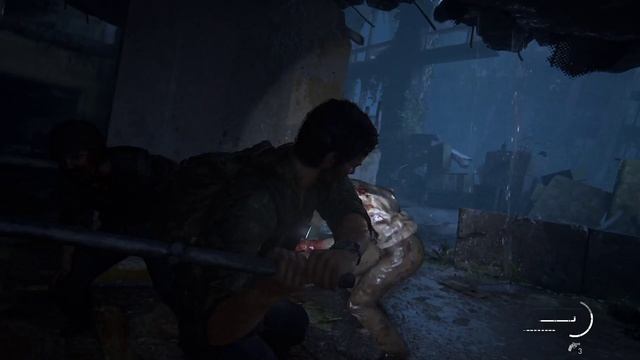 The Last of Us