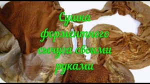 ЗАКВАСКИ СВОИМИ РУКАМИ