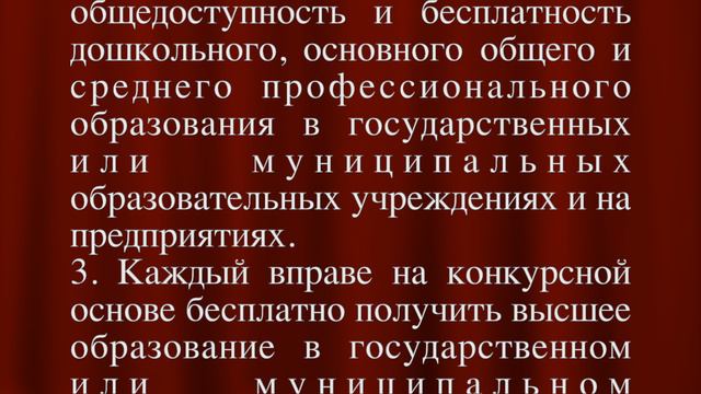 Видеостатьи Конституции