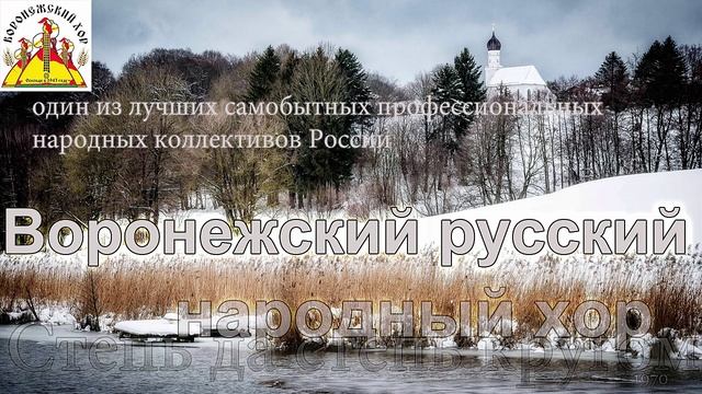 Ночью на подлете к Воронежской области сбили вражеский БПЛА без объявления угрозы атаки